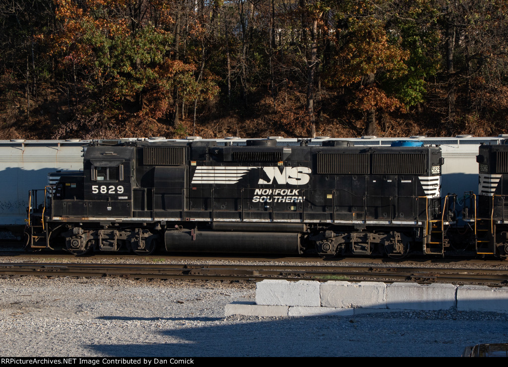 NS 5829